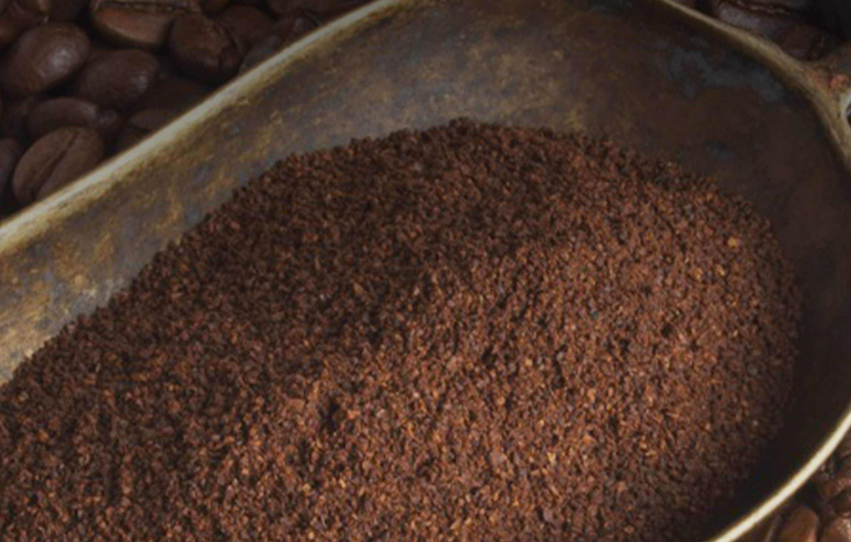 L’Histoire du Café: de ses origines à aujourd’hui | Lavazza